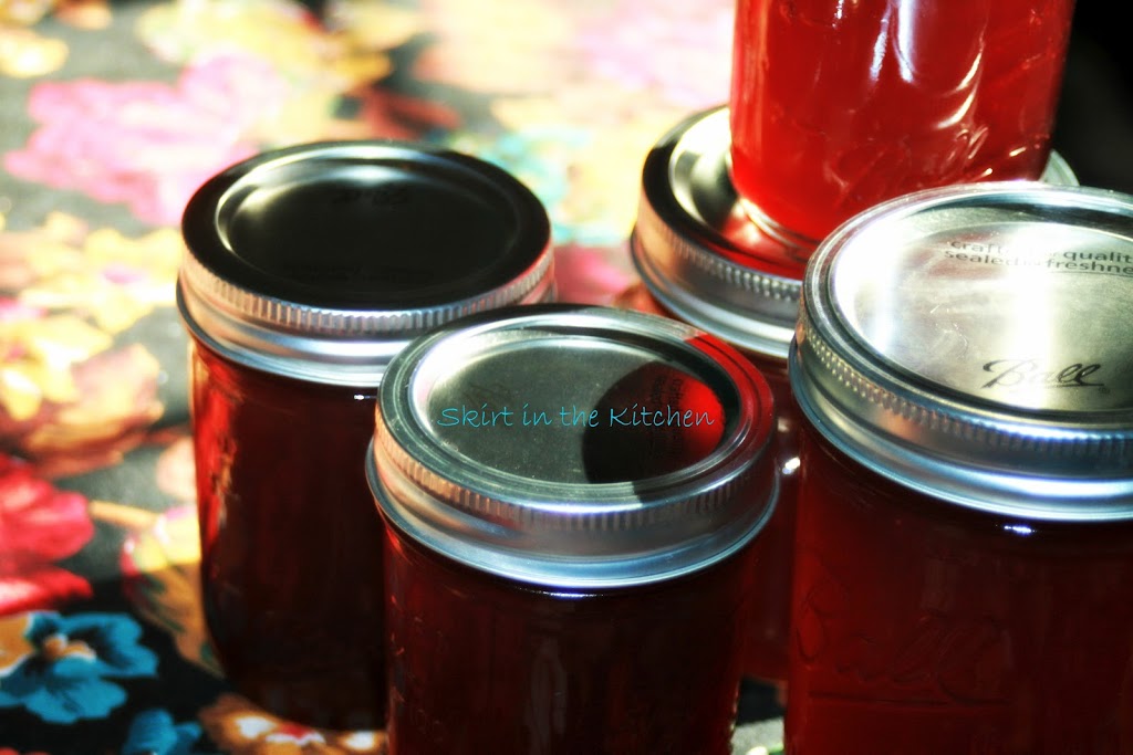 Slow-Cooker Blackberry Cordial - Skirt in the Kitchen