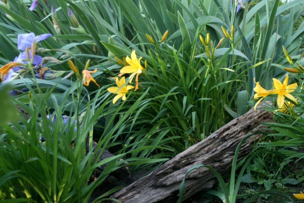 Spring Awakening - Skirt in the Kitchen